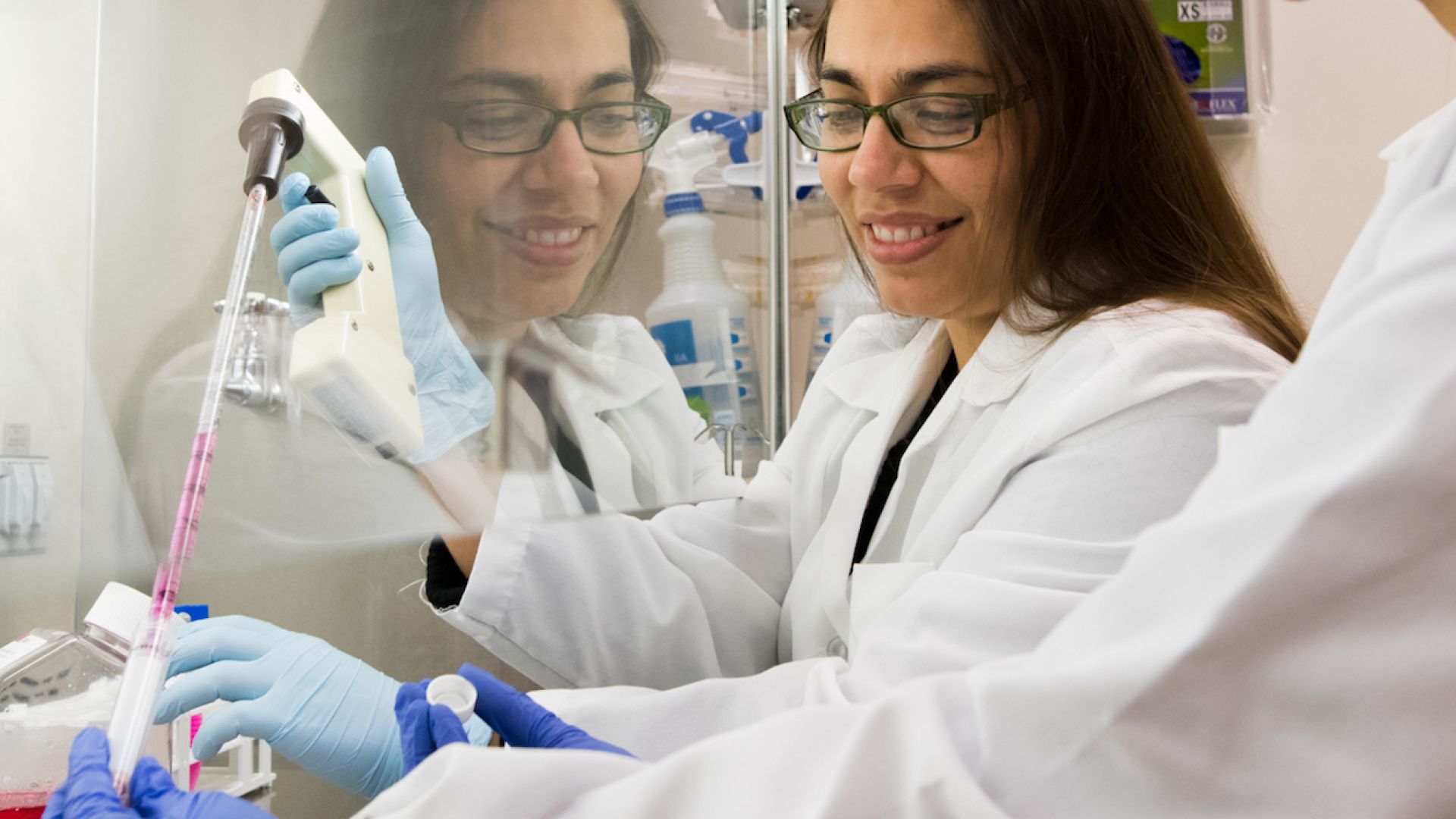 MS in Pharmaceutical Sciences Curriculum | Pacific University